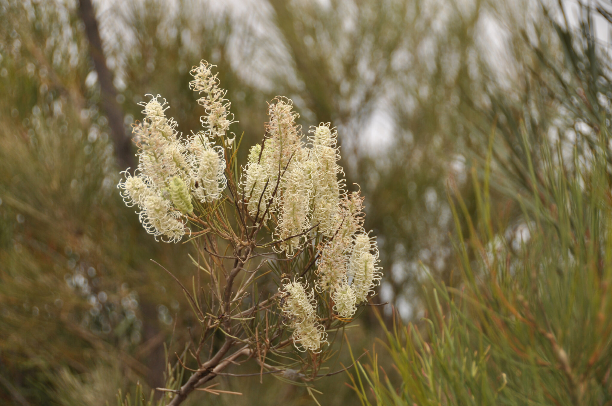 Project Reconnect – Small church? Just the right size!